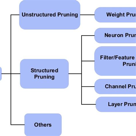 classification of network pruning approaches download scientific diagram