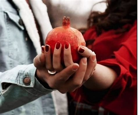 دوستان کافه شانار