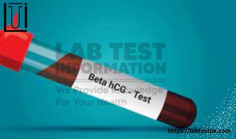 Beta Hcg Blood Test