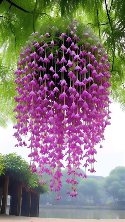 29 Garden Care Ideas Planting Flowers Indoor Plants Garden Care