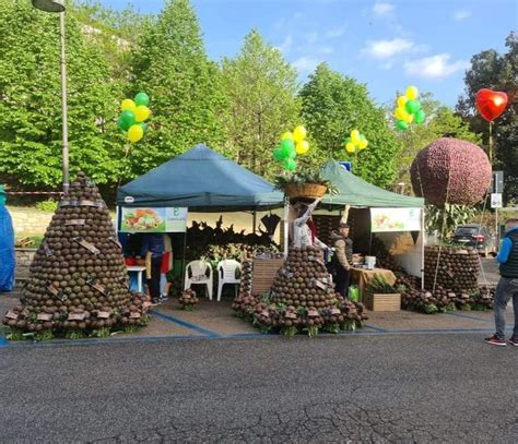 Lorenzo Pasetti Posted On Linkedin