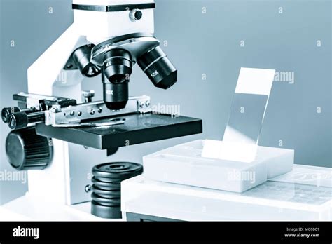 Microscope Slide Light At Christian Brown Blog