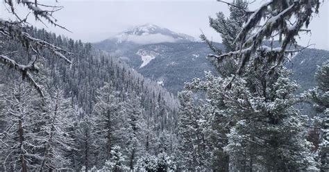 Mule Headed When The Elk Dont Show Outdoors Apg