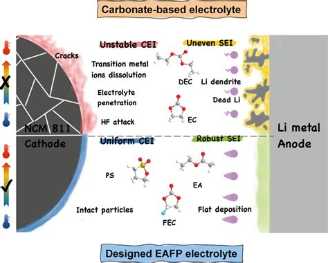 Electrolyte Engineering To Construct Robust Interphase With High Ionic Conductivity For Wide