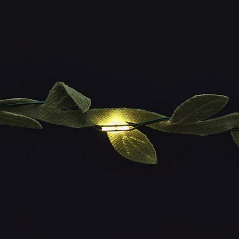 20 Warm White Led String Lights With Timer Function Green Cable