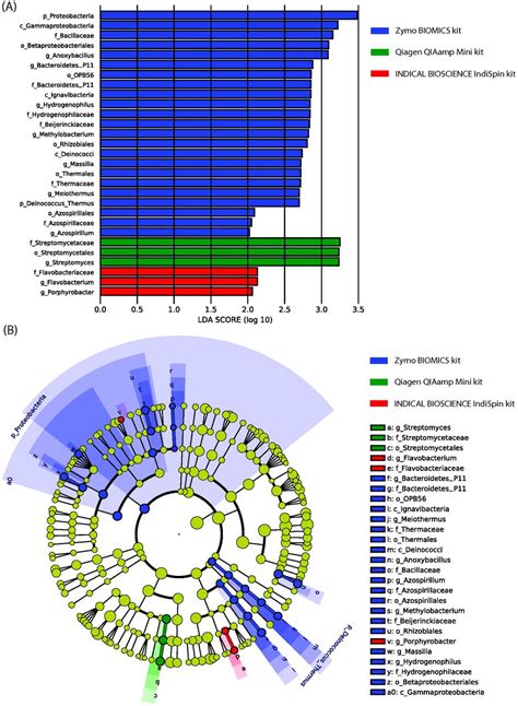 Bd Surepath Collection Vial Kit 500 Outlet Offers Th