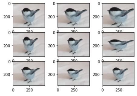 Image Data Augmentation In Keras MarkTechPost