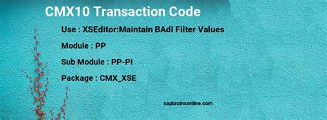 CMX10 SAP Tcode For XSEditor Maintain BAdI Filter Values