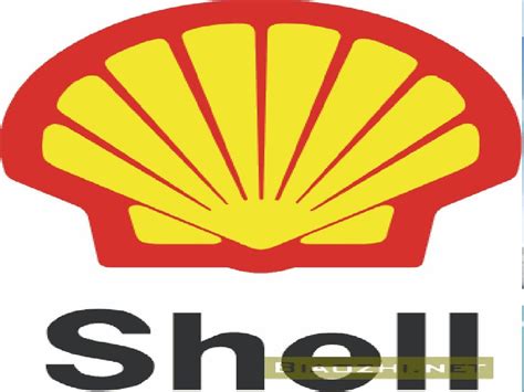 Shell的商业模式word文档在线阅读与下载无忧文档
