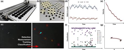 Overview Of A Fully Automated Workflow Towards The Monitoring Of Download Scientific Diagram