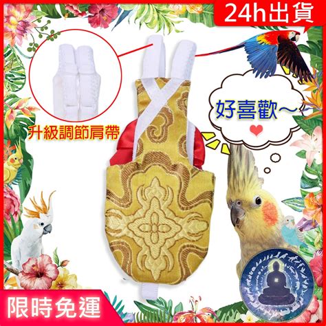 折衷鸚鵡尿布的價格推薦 2023年9月 比價比個夠biggo