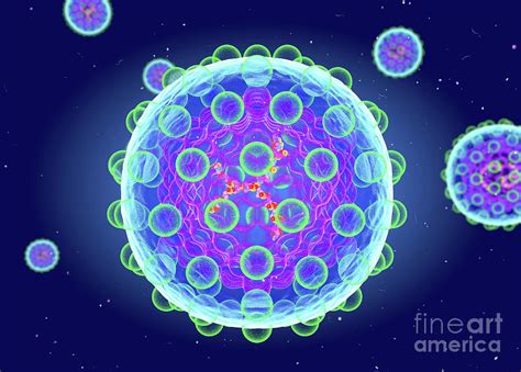 Hepatitis C Virus Structure Photograph By Roger Harris Science Photo