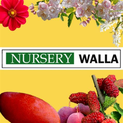 Nursery Walla Youtube