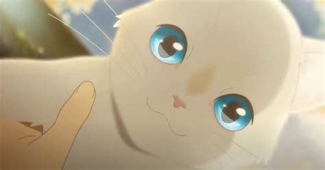 La Tierna Película De Netflix Protagonizada Por Una Gatita Enamorada De