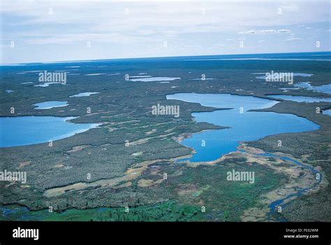 Aerial View Of Yenisey River Surroundings Of Igarka Siberia Russia