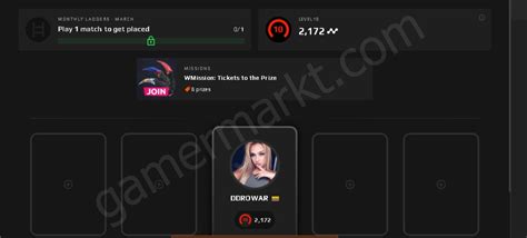 Faceit 10 Lvl 800200 Gamermarkt