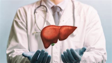 Fatty Liver Remedy Supporting Liver Health With Natural Supplements