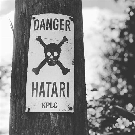 Danger Hatari Musicaislandeseitalia Rhatari