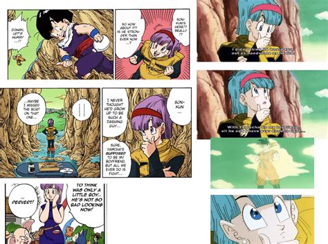 was bulma playing the field and she just lied to trunks r ningen