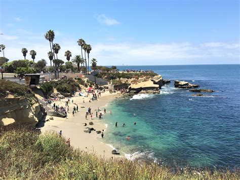 La Jolla Cove 8 Things Even The Locals Dont Know La Jolla