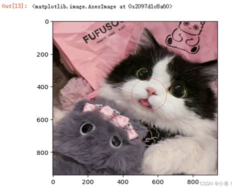 Skimage图像处理（六）plt绘制skiimage图像 Csdn博客