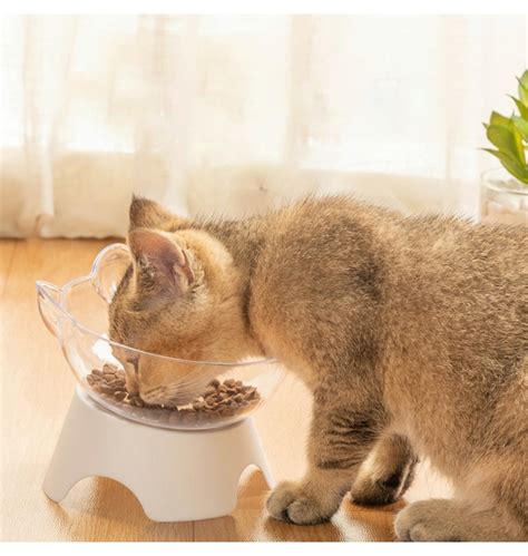 강아지 식기 고양이 식탁 밥 물 그릇 싱글 보울 티몬