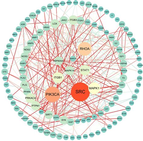 Ppi Network Where Nodes Stand In For Proteins And Edges For