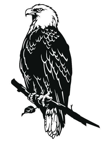 Bald Eagle Printable Coloring Page Coloringus