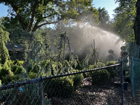 Irrigation Installation And Design Sunset Nurseries