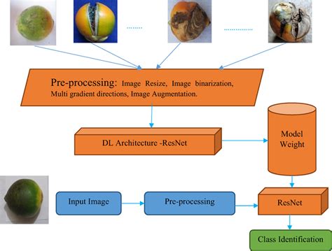 Proposed Architecture For Identification Download Scientific Diagram