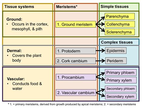 Biologia Para A Vida BotÂnica Geral Angiospermas