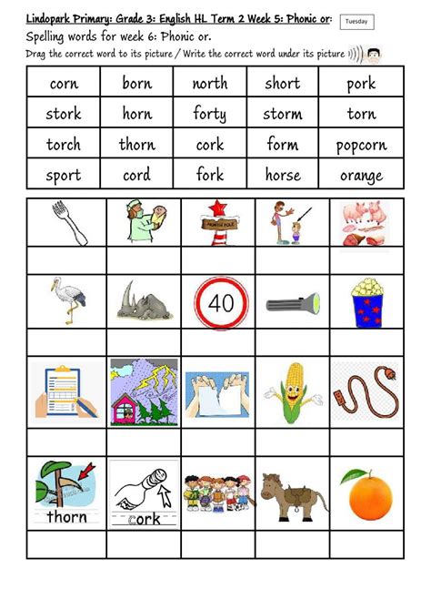 Grade 3 English Worksheets Online