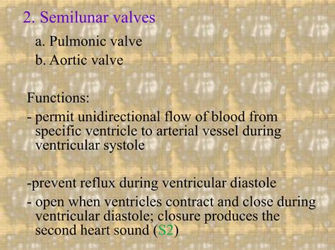 Cardic System Introduction Pdf