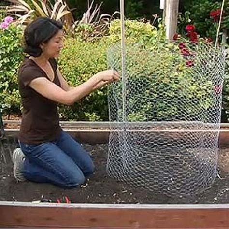 How To Make A Compost Bin With Chicken Wire At Lisa Travis Blog