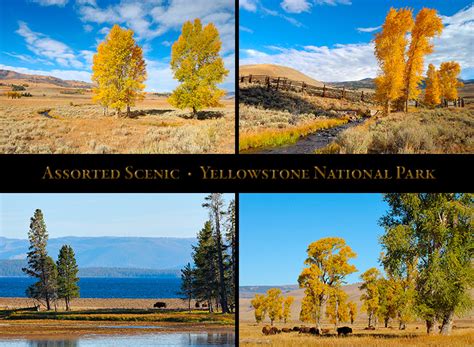 Yellowstone And Grand Teton National Parks Wyoming