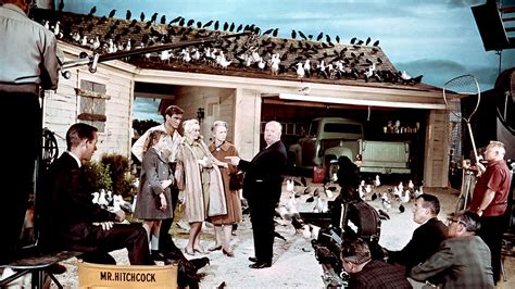 The Birds Star Veronica Cartwright Recalls Giving Beaver Cleaver His