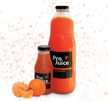 Juices Profood Fruit Juice