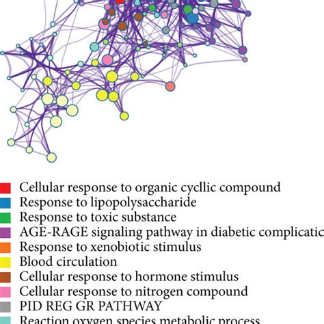 Graph Of The Go Function Analysis Bar And Ppi A Go Analysis B Ppi