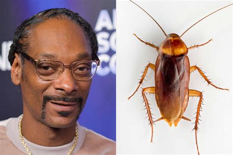 Snoop Dogg Had A Pet Cockroach Named The Gooch