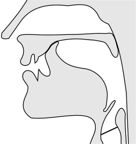 Voiceless Retroflex Plosive ʈ Teflpedia