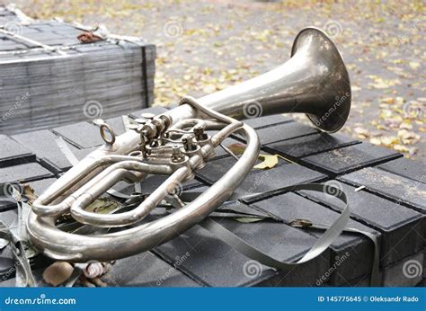 A Biggest Brass Instrument At Gwen Mayer Blog