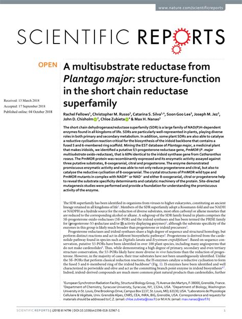Pdf A Multisubstrate Reductase From Plantago Major Structure