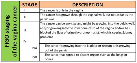 Vulvar Cancer Staging