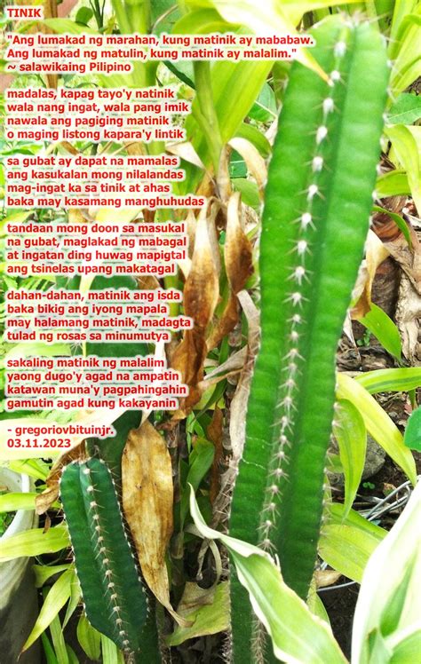 Panitikang Aktibista Tinik