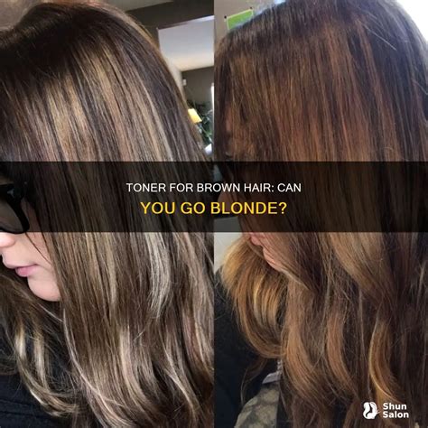 Toner For Brown Hair Can You Go Blonde Shunsalon