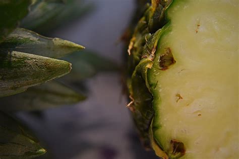 Art2 Exam Amrita J Bhachu Photography