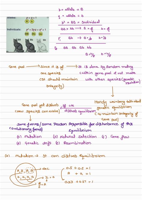 Evolution Notes Class 12 Biology Studypur Notes Pyqs Sample Papers