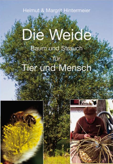 Die Weide 39654