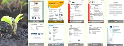 Biodegradable And Non Biodegradable A Guide To Sustainable Choices