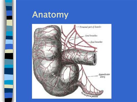Ppt Acappendicitis Powerpoint Presentation Free Download Id1018199